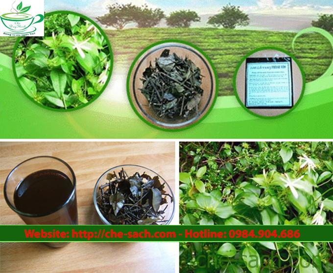 Cách nấu CAO CHÈ VẰNG|Hướng dẫn nấu CAO CHÈ VẰNG